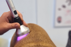 Laserbehandling | Årslev Dyreklinik